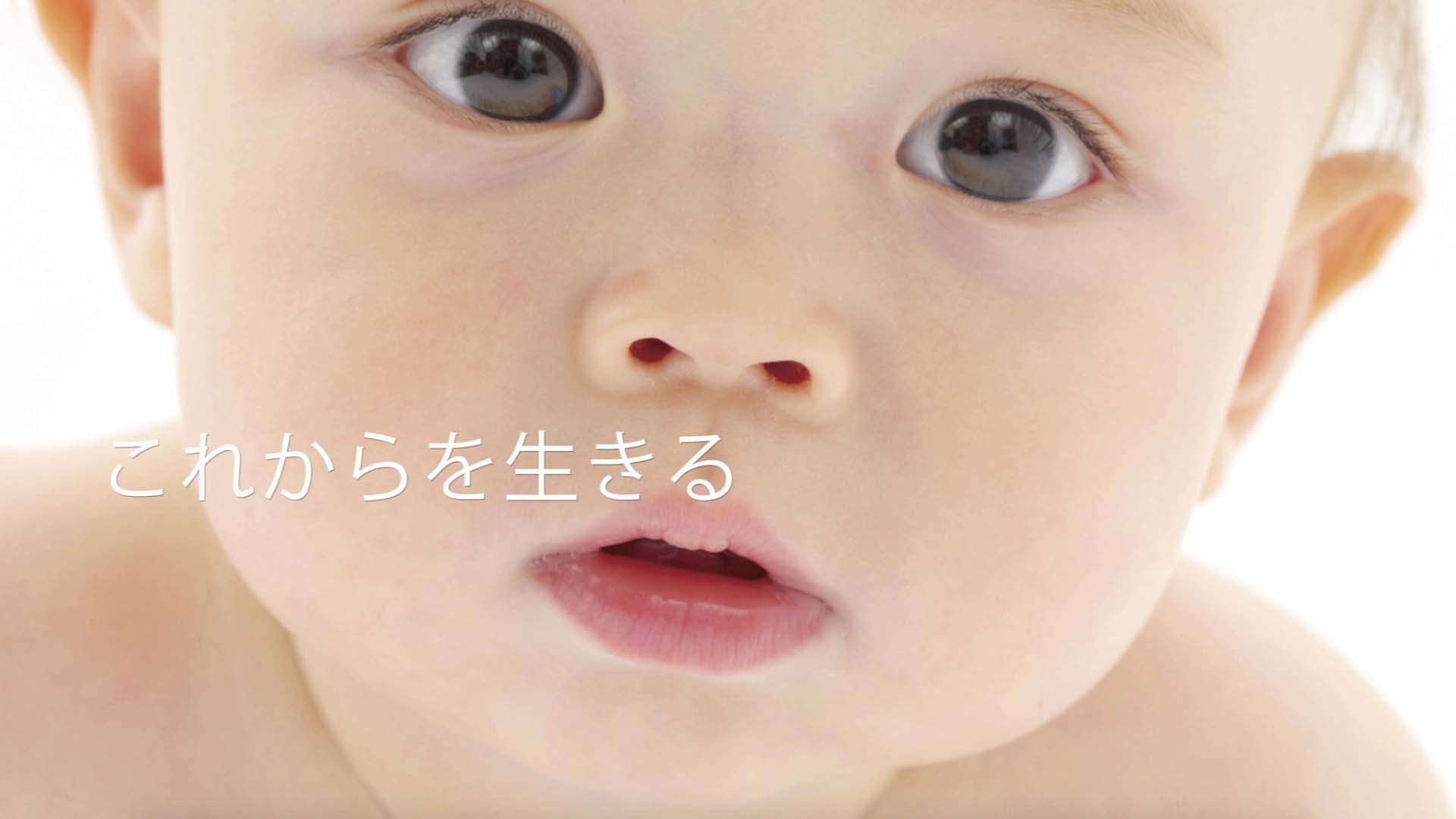 Mieruka Web 太陽光発電 計測連動型PRコンテンツ | ラプラス・システム